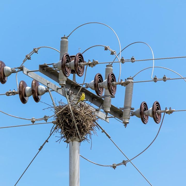The Future of Power Pole Inspections | Mile High Drones